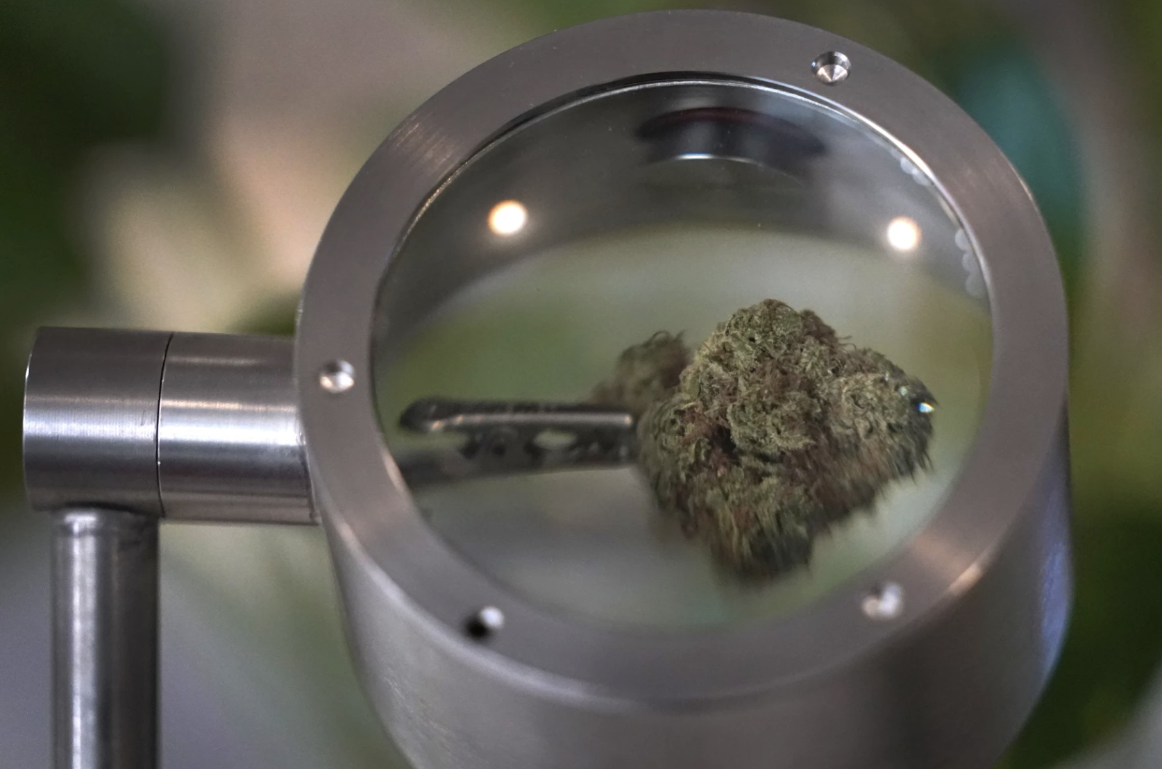 Here's How a Pilot Program to Clear Marijuana Possession Records is ...